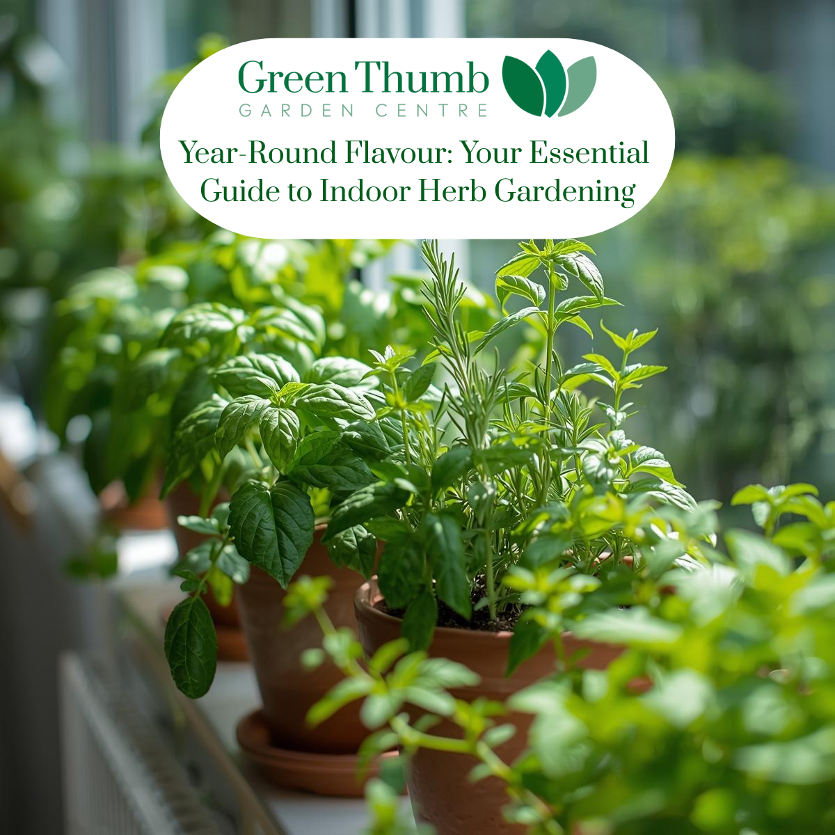 Year-Round Flavour: Your Essential Guide to Indoor Herb Gardens – Green ...
