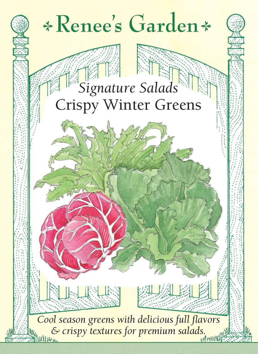 Greens - Crispy Winter Salad – Green Thumb Garden Centre