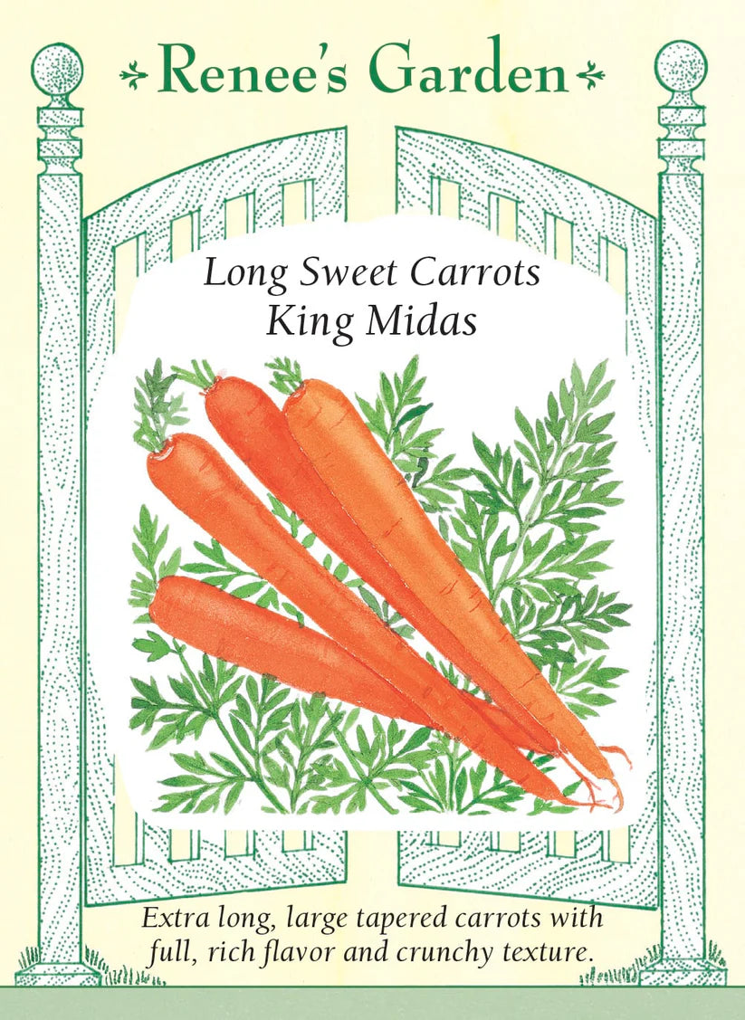 Carrot - King Midas – Green Thumb Garden Centre