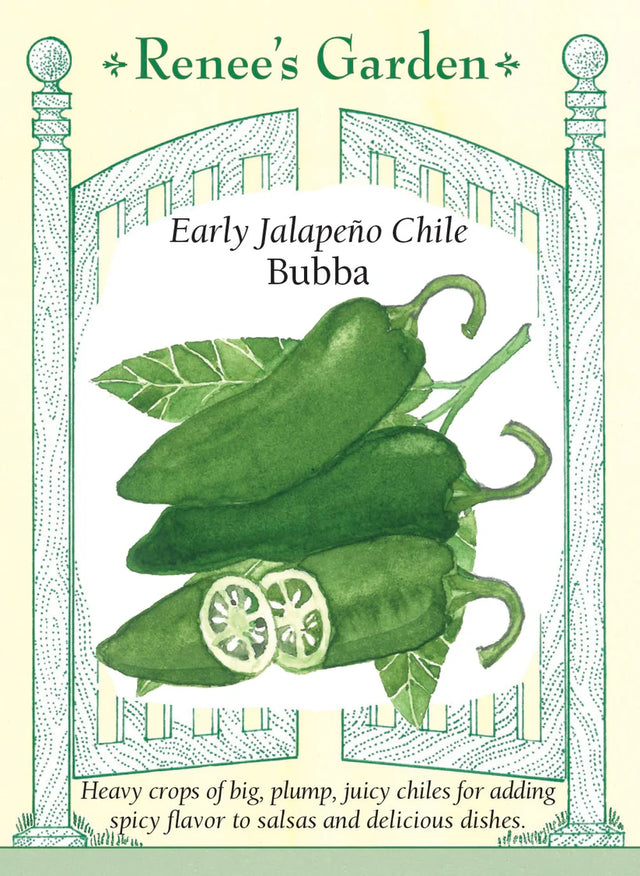 Pepper - Chile Jalapeno Bubba F1 – Green Thumb Garden Centre