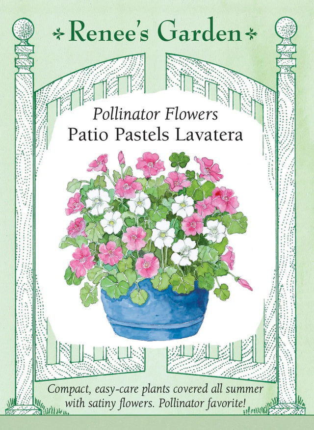 Lavatera - Patio Pastels Mix – Green Thumb Garden Centre