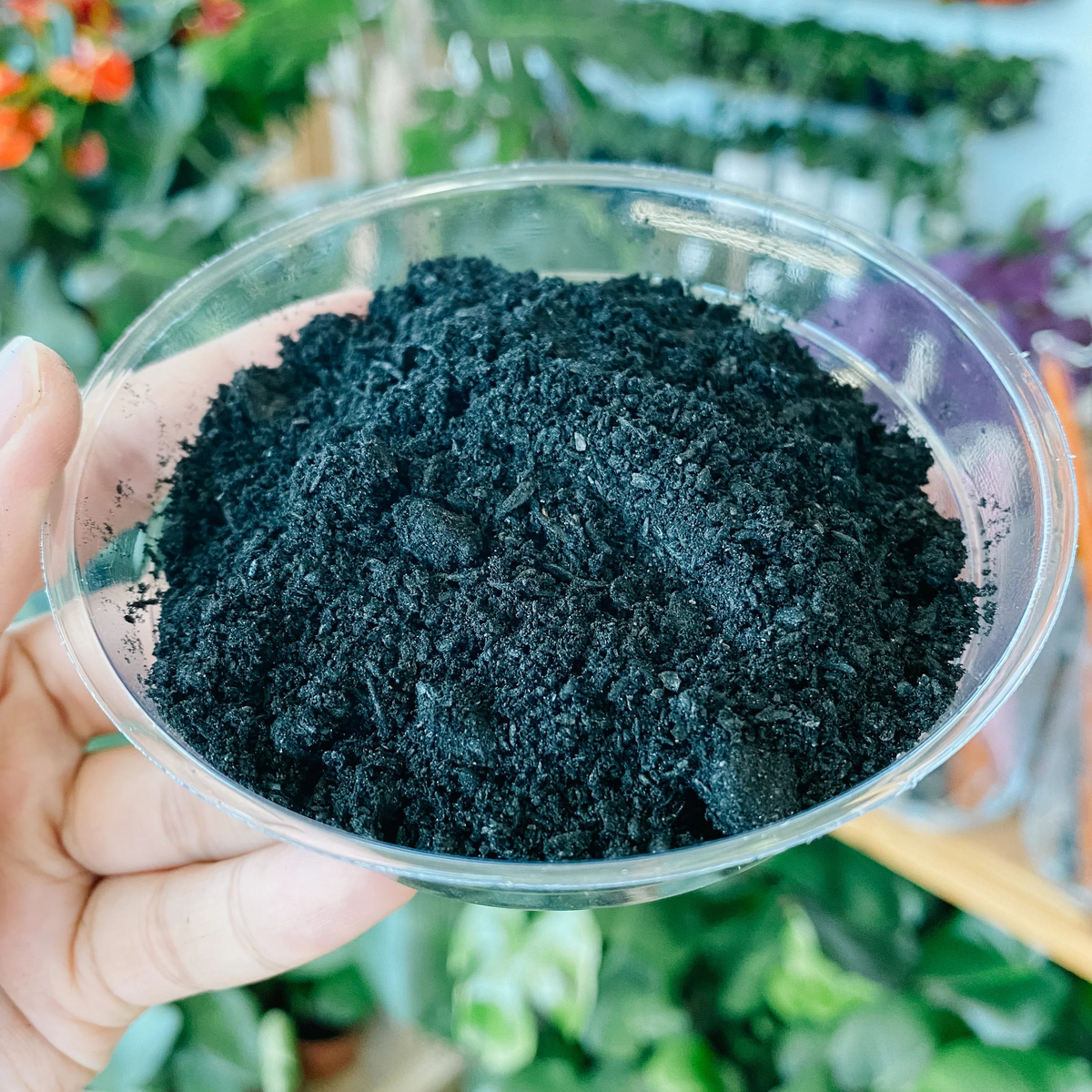 Biochar – Green Thumb Garden Centre